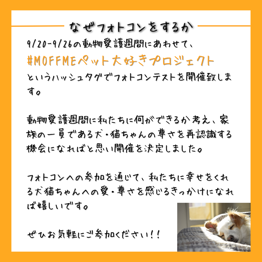 「#MOFFMEペット大好きプロジェクト」の開催のお知らせ｜MOFFME